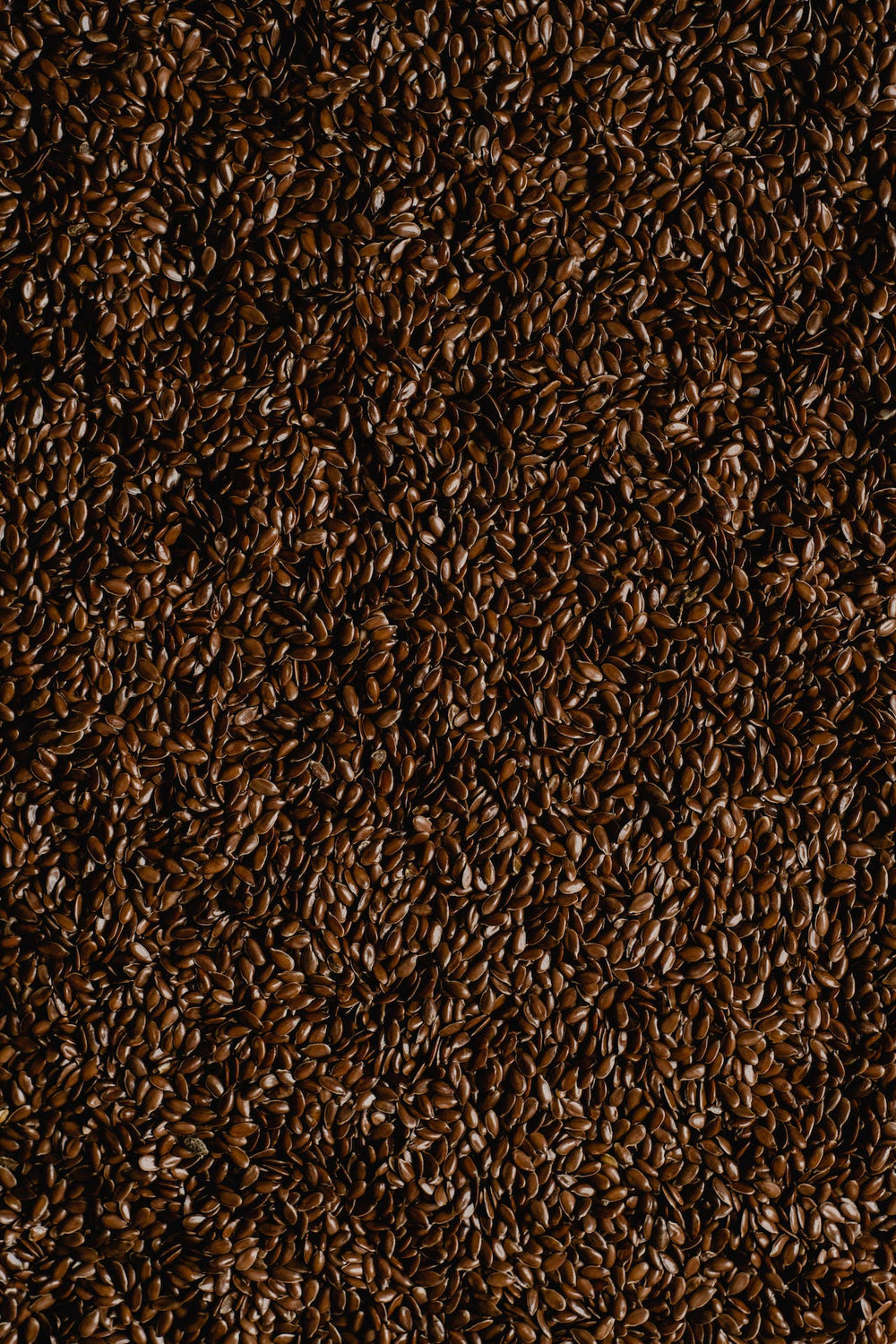 Health Benefits Of Flaxseed – Epic Water Filters USA